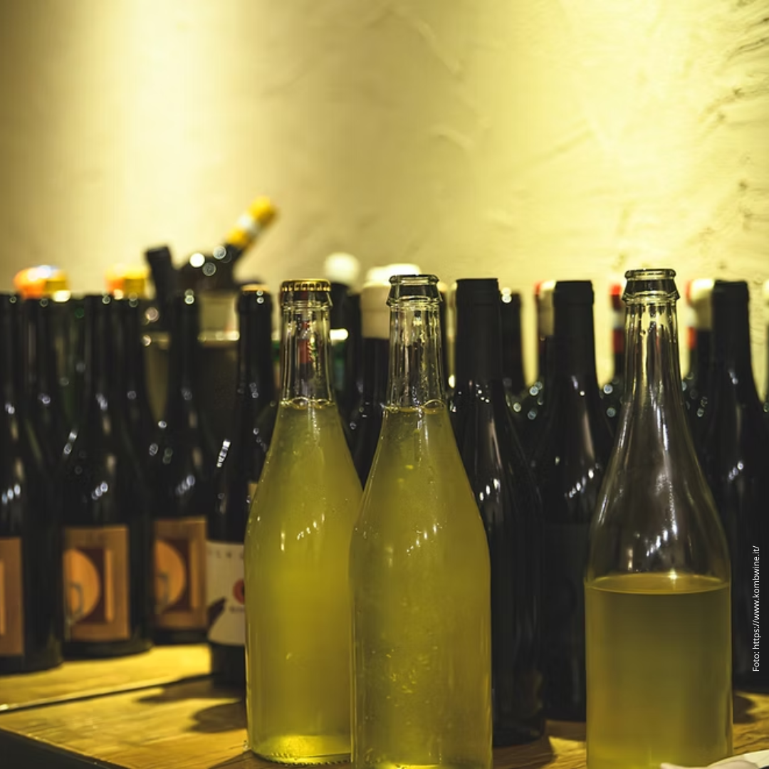 Komb(w)ine: la prima bevanda fermentata a base di mosto, naturalmente ...